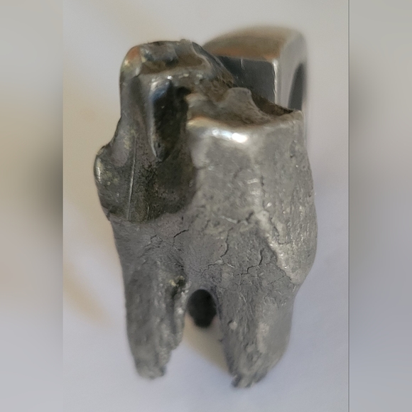 F is for Frank | Accessories | Pewter Cast Bison Tooth Ring | Poshmark
